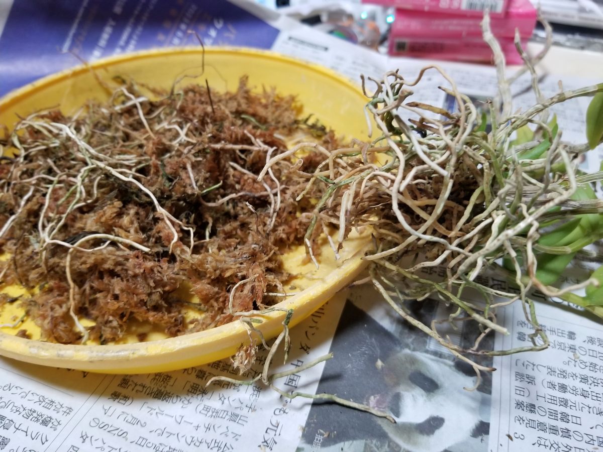 えれ(@e10s) - Twilog