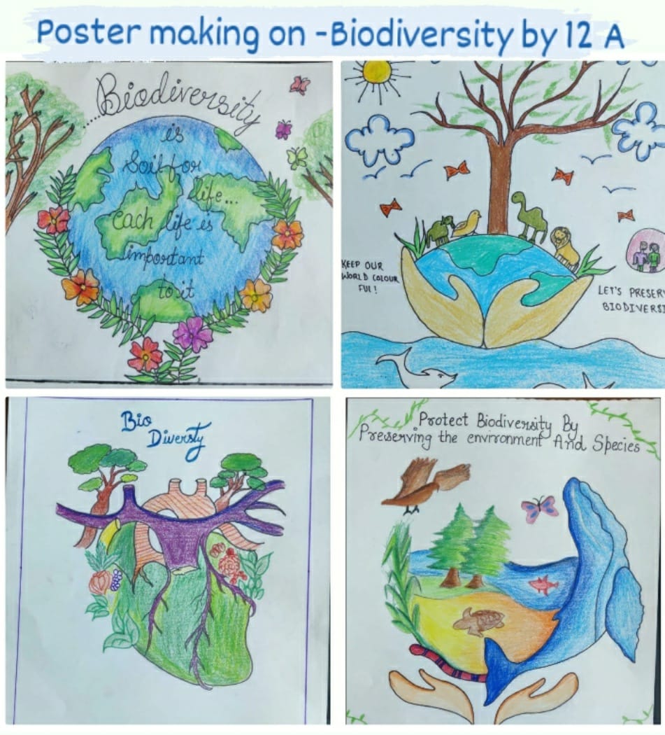 Biodiversity Poster Making