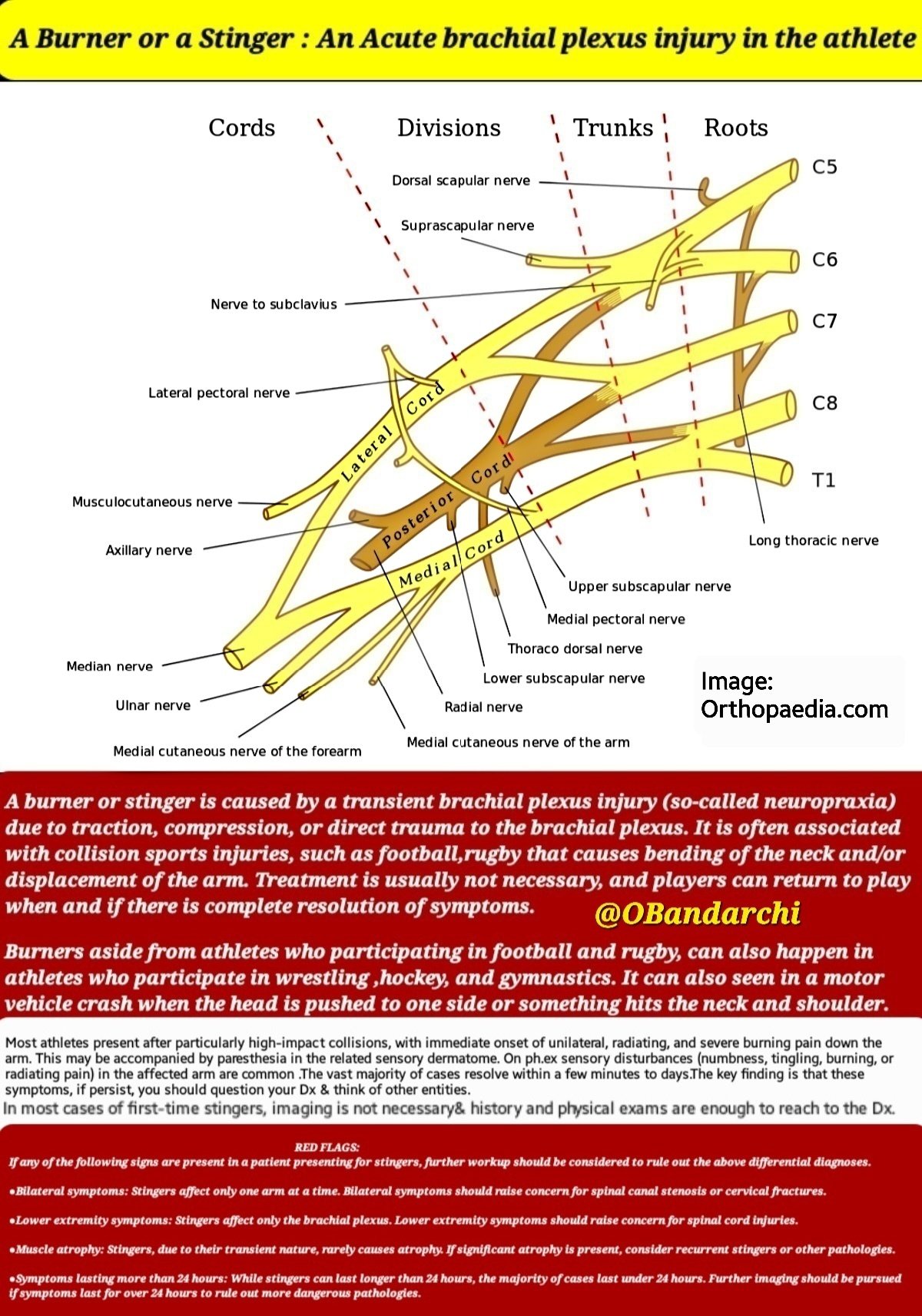 Brachial Plexus Injury Football Brachial Plexus Injury