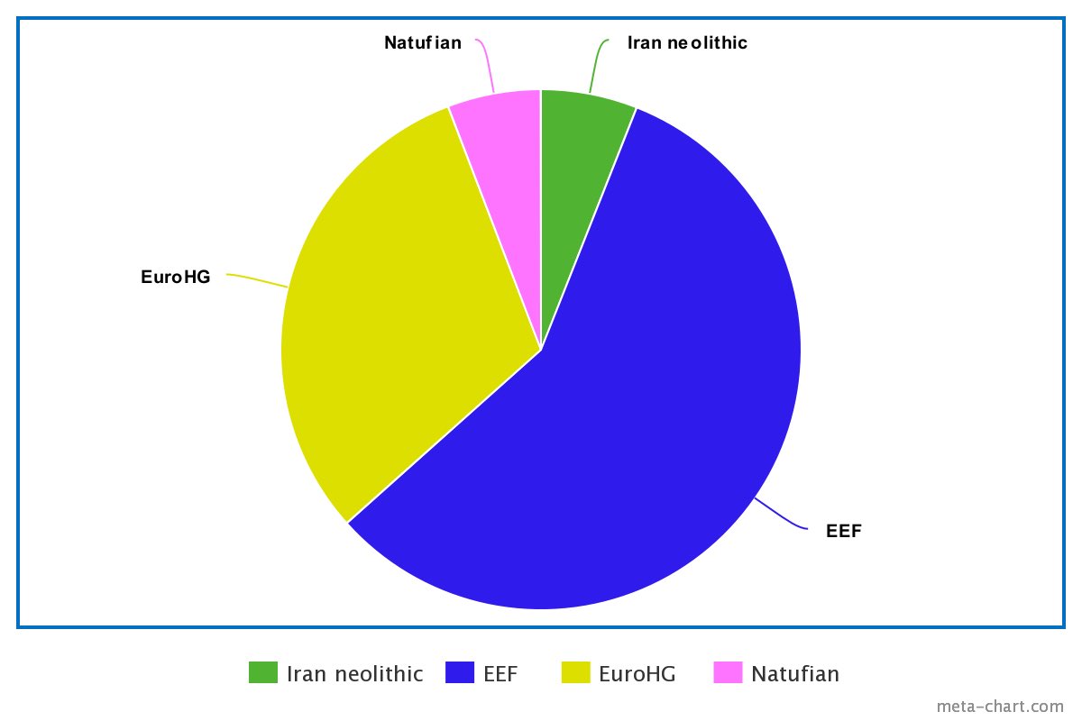 Iran Ethnic Pie Chart
