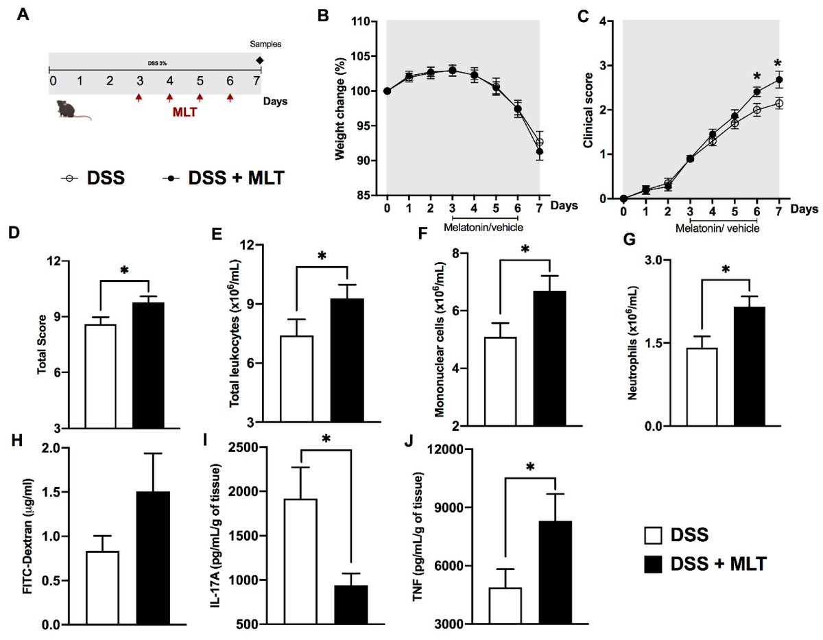 🥼Agingdoc1⭐MD, PhD 🔔 on Twitter: "The Microbiota-Dependent Worsening Effects of Melatonin on Gut ...