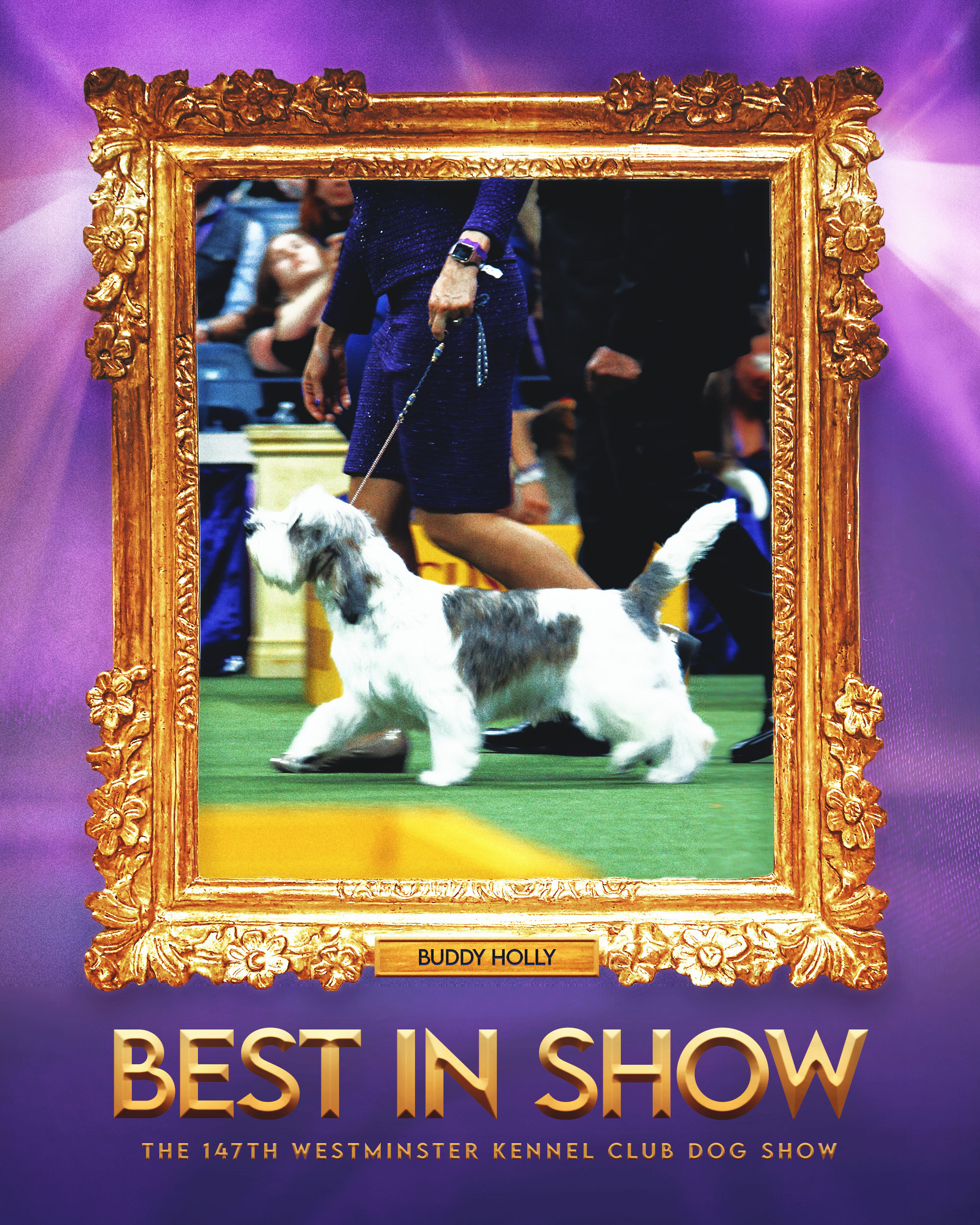 Best In Show Poster