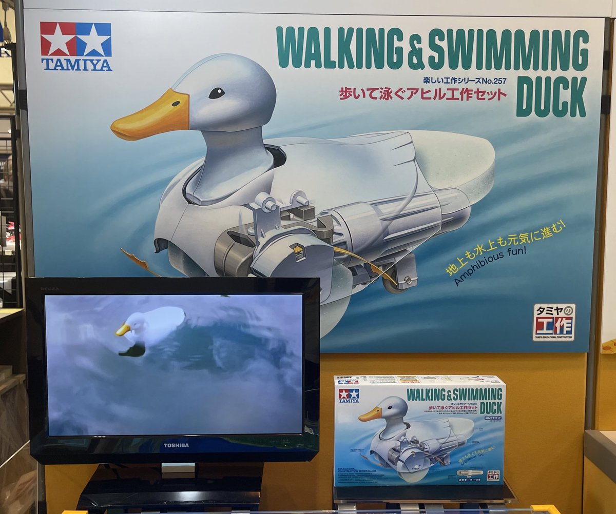 かめのこわたし🦘 on Twitter: "RT @NippperCom: TOTEMO YABAI"