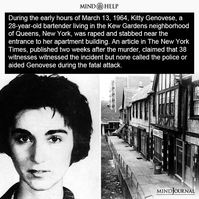 The Minds Journal on Twitter: "RT @mindshelp: Kitty Genovese, The Fate ...
