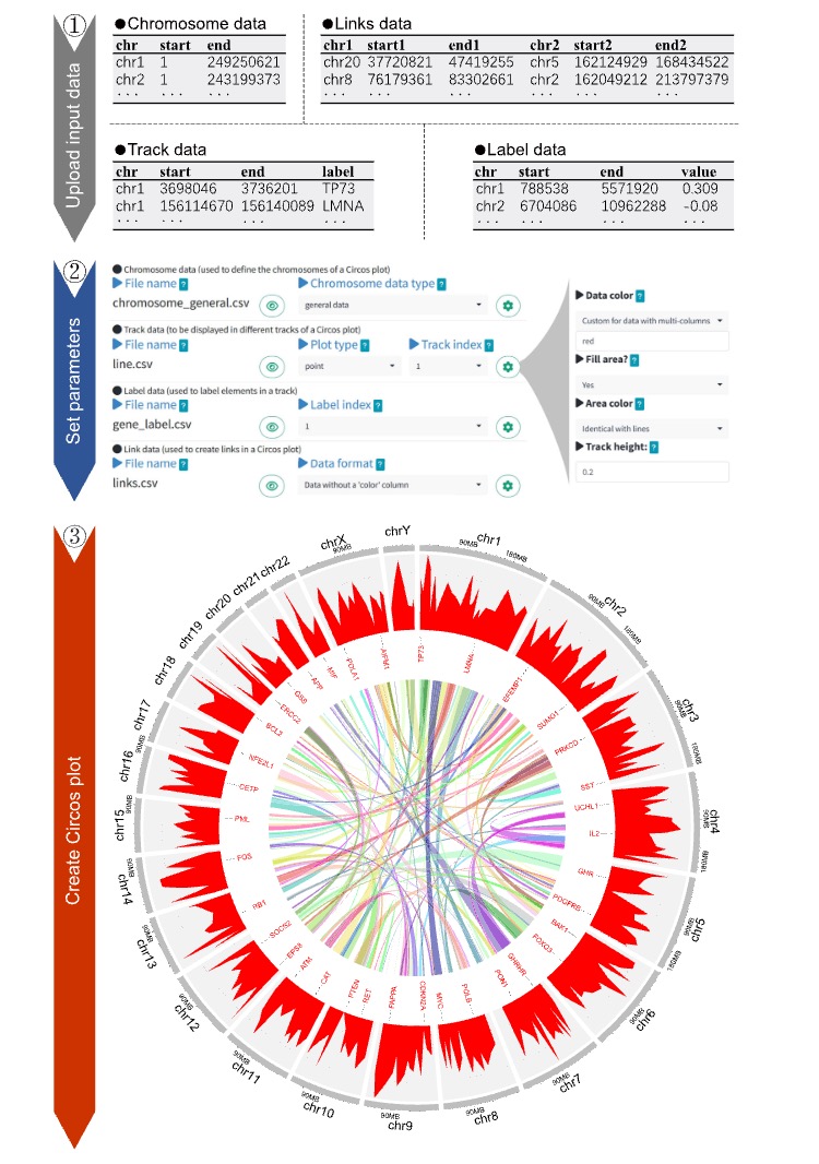 iMeta on Twitter: "shinyCircos-V2.0: Leveraging the creation of Circos plot with enhanced ...