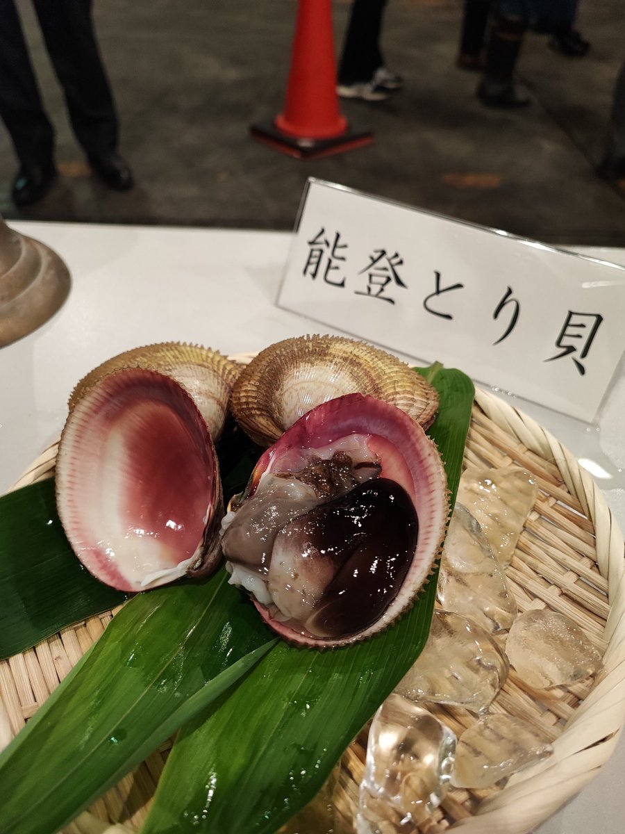 石川県漁業協同組合／JFいしかわ【公式】 on Twitter: "【速報】 200gUPの能登とり貝プレミアムに一つ15,000円の値が付きました。 袋に入っているので大きさは伝えづらいです ...