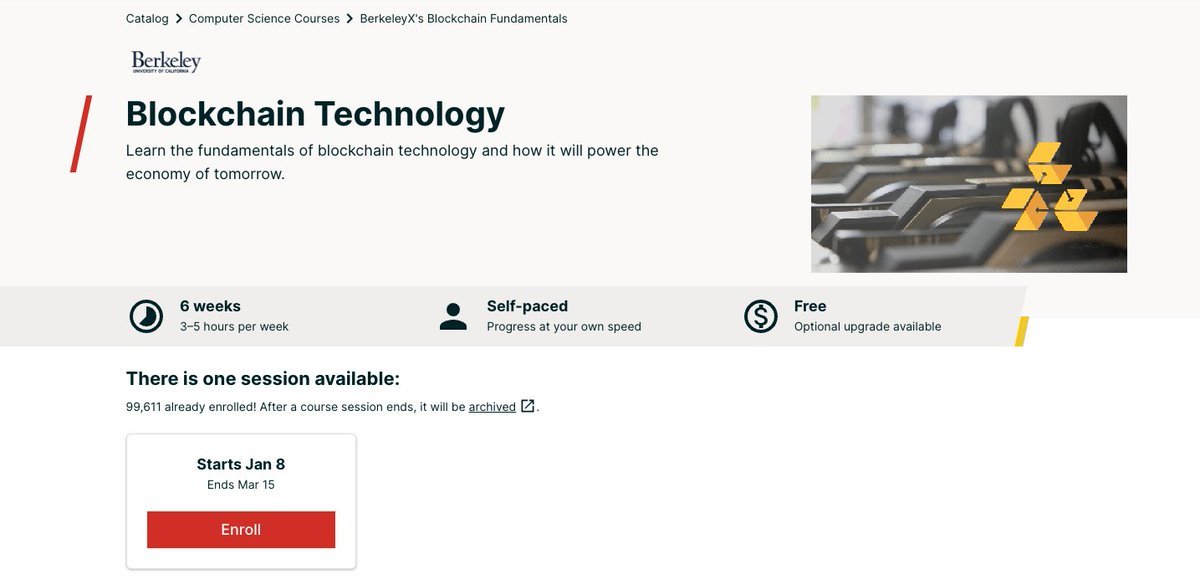 You don't really need to spend $$$ on courses. Learn web development, AI, ML, and programming ...