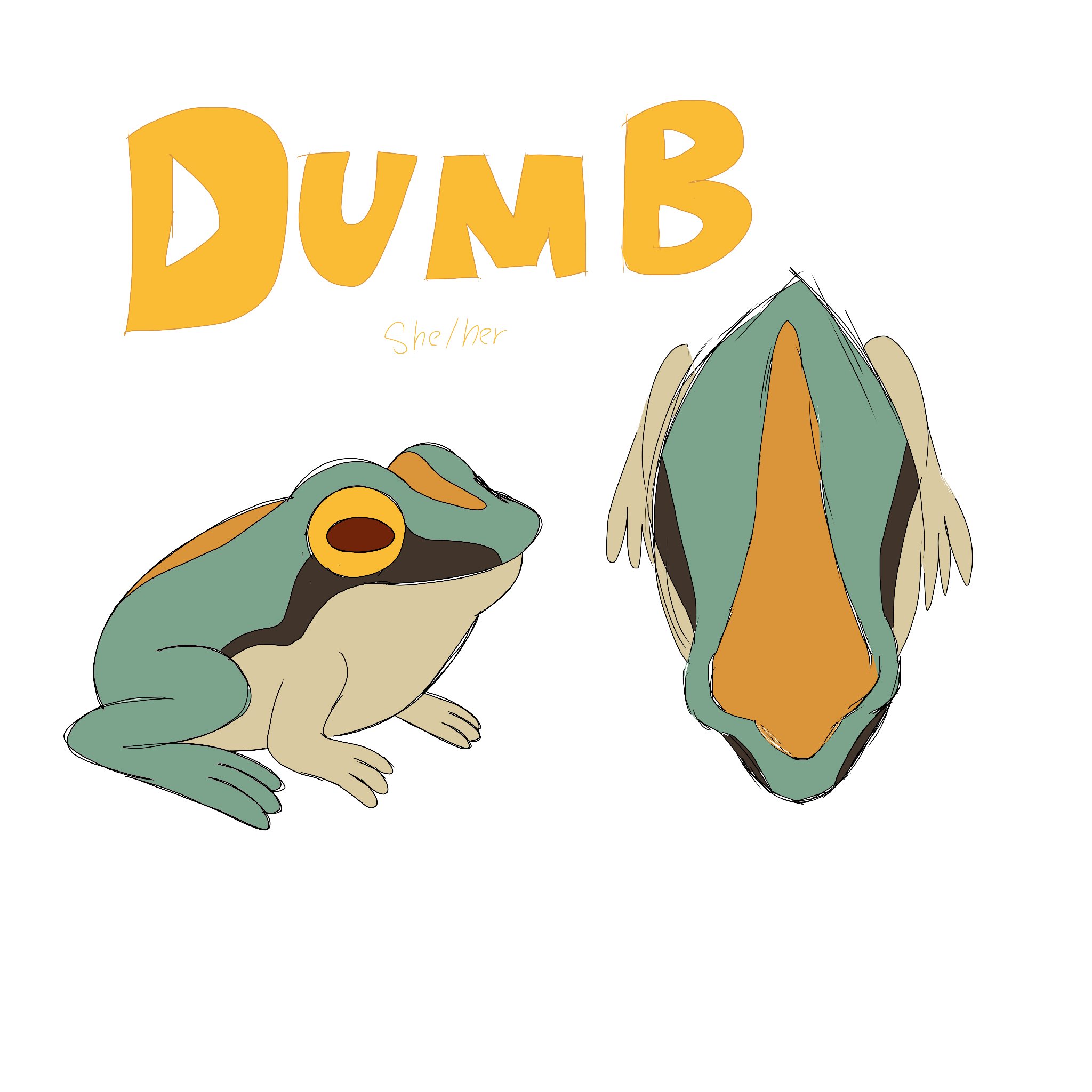 Pacific Tree Frog Drawing