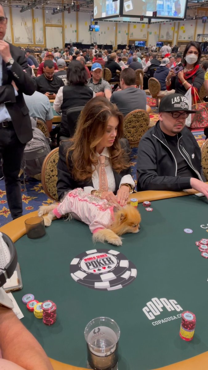 WSOP - World Series of Poker on Twitter: "The 54th annual #WSOP is going all-in to shatter the ...