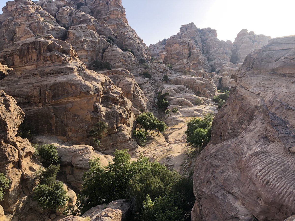 ️MouetteMoqueuse🇺🇦😜 on Twitter: "Coucou de la petite Petra"