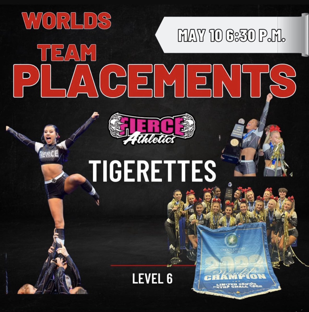 Fierce Sign Cheerleading