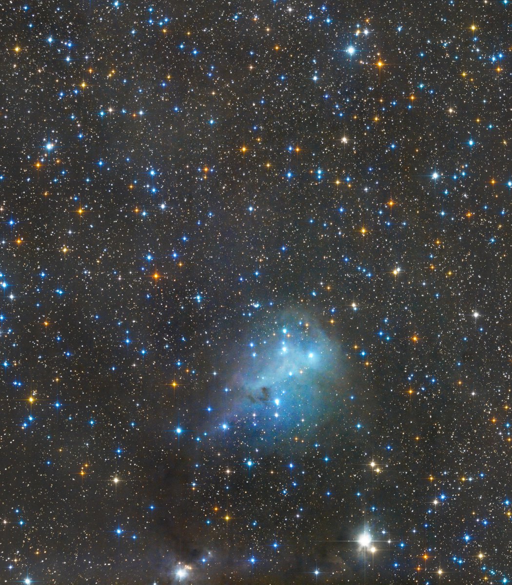 Astrophotography rocks ! on Twitter: "IC446 & IC447 reflection nebula in the constellation ...