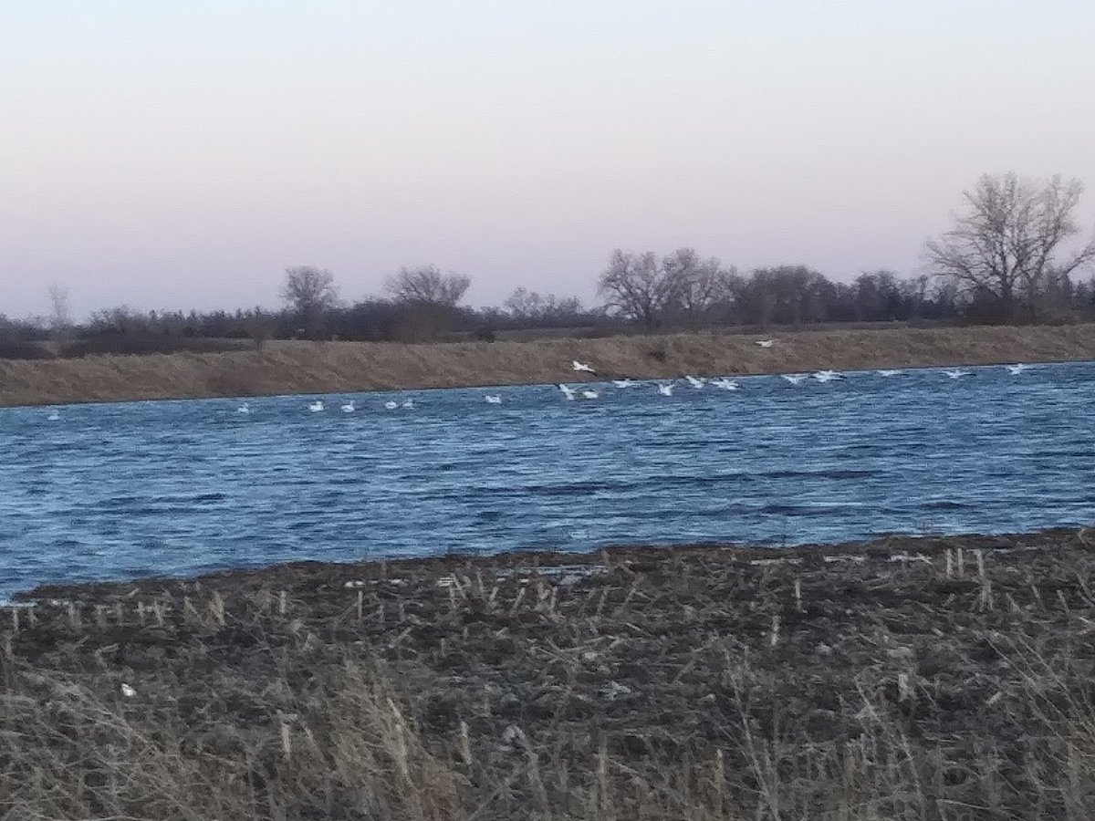 New town every hour on Twitter: "White Rock, South Dakota Population: 3 Photos from Google ...