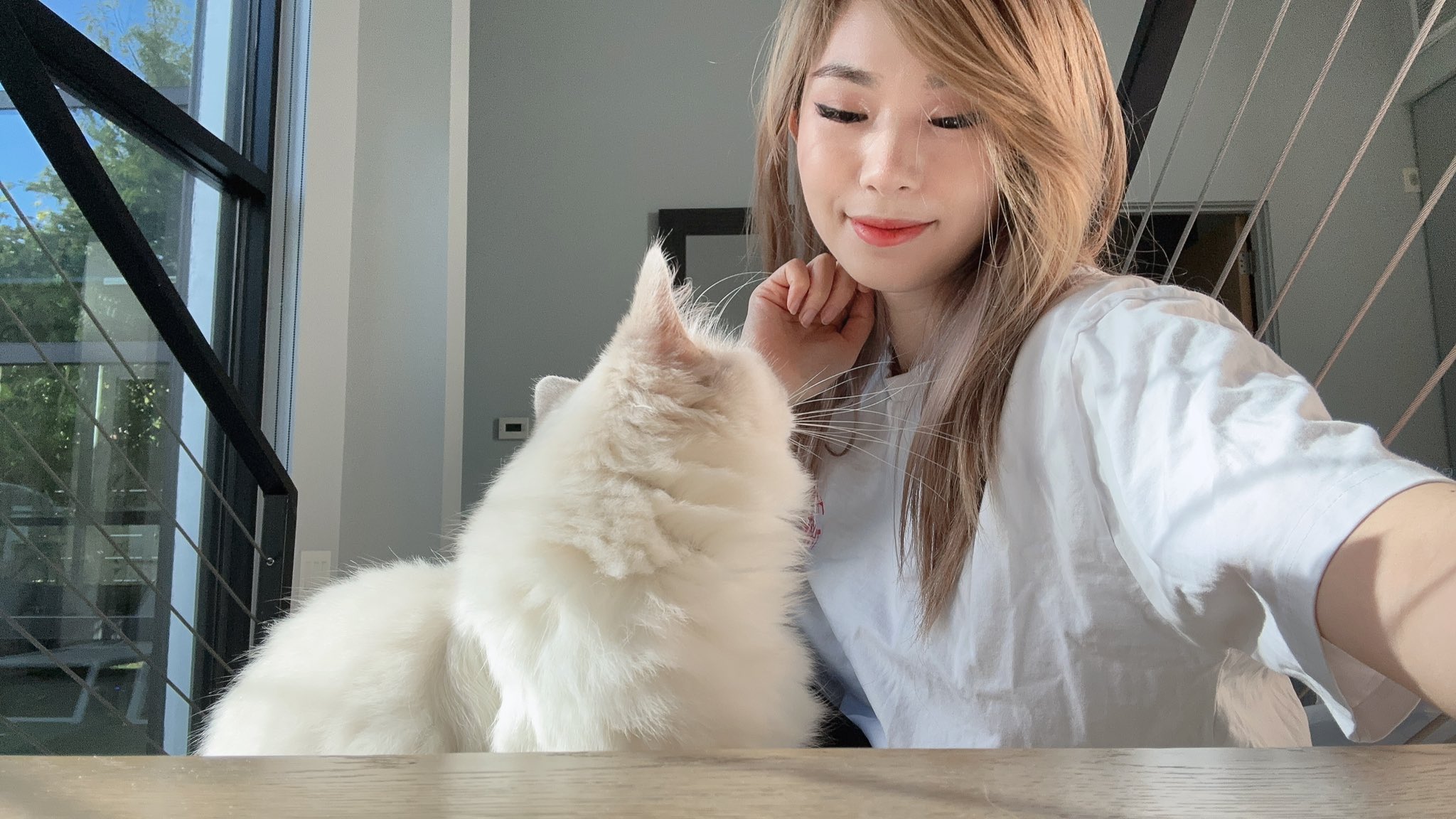 Leena Xu on Twitter: Leena Xu on Twitter: