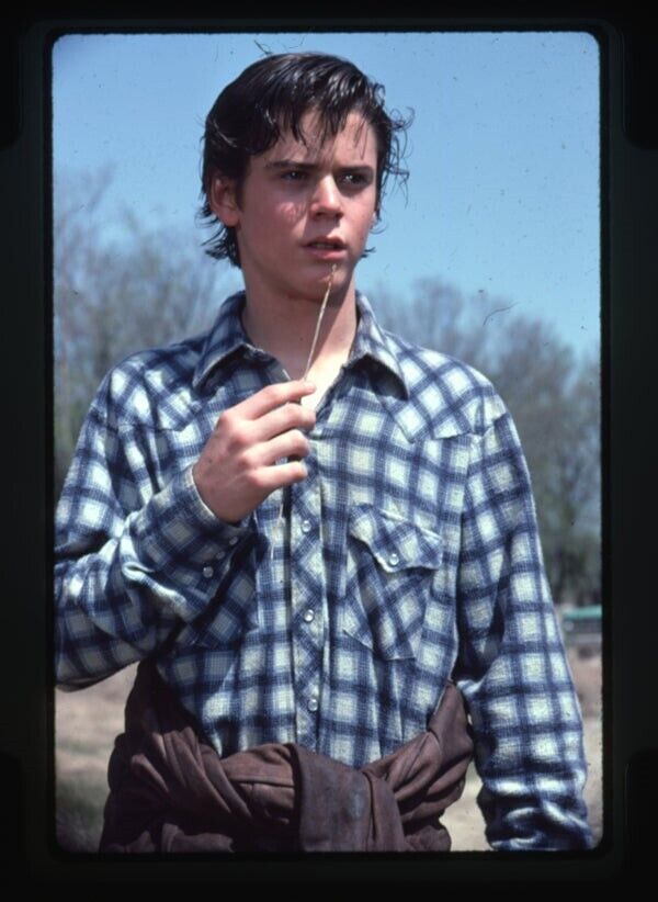 The Outsiders 1983 Ponyboy