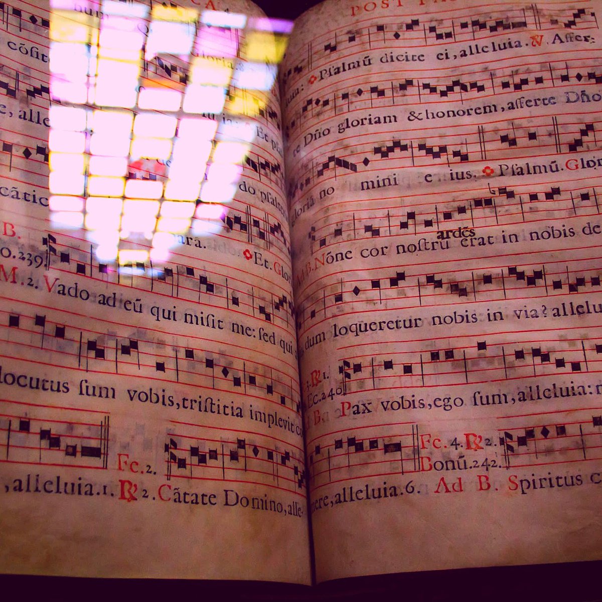🧵Bible & the ancient Solfeggio scale, which is no longer lost in ...