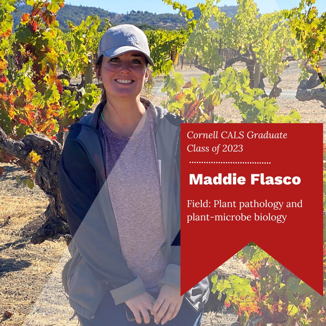 Cornell AgriTech on Twitter: "#Cornell2023 Spotlight 🎉 🎓Maddie Flasco "Being a Cornellian means ...