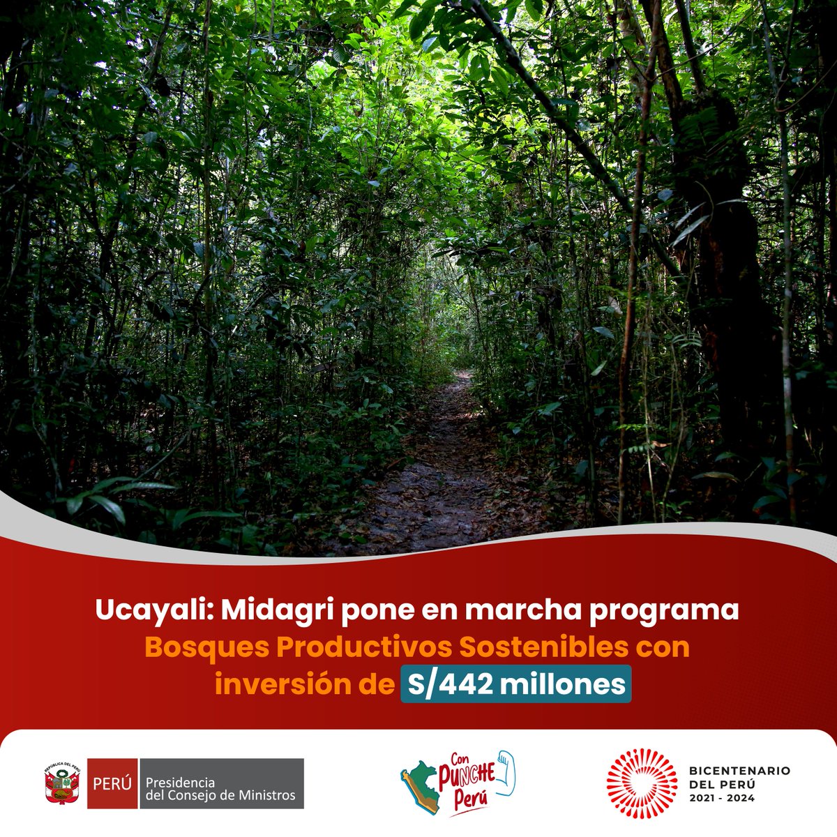 Midagri PerÚ On Twitter Rt Pcmperu 🌳¡promoviendo El Manejo