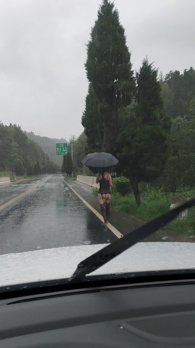 梦林 On Twitter 主人给的任务、在上高速路口露出、那天雨很大、等了好久才有路过的车、不然哪天只有一直走