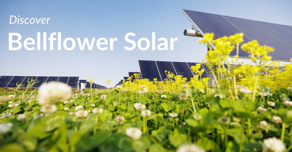 Lightsource bp on Twitter: "Clean energy, pollinator habitat, research & more. 152.5MWac ...