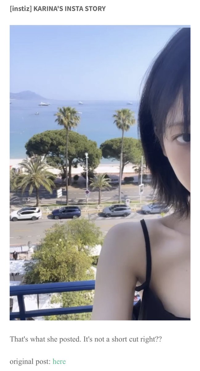 notpannchoa on Twitter: "instiz] KARINA'S INSTA STORY"