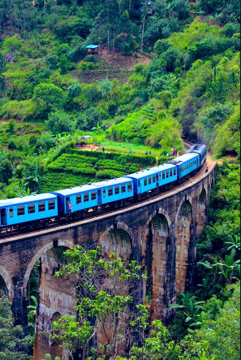 Inez Mugure on Twitter: "Day 5 in Sri Lanka 🇱🇰 I am so excited I get to ride on the Worlds most ...