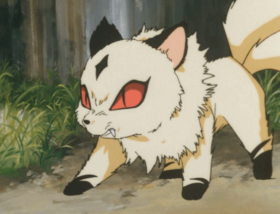 Inuyasha Kilala Gif Kirara Images