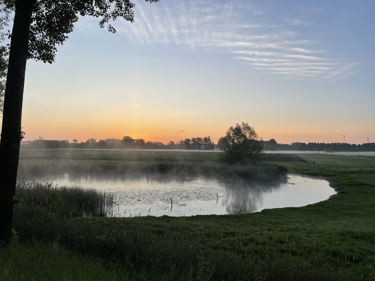 Daisy Bogaert on Twitter: "#vrtweer Meerdonk 5:54. ⁦@BuienradarBE⁩"