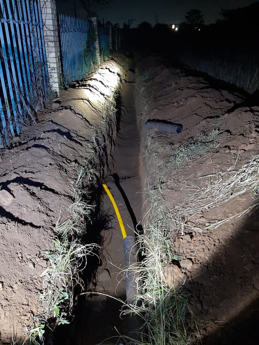 Operation Dudula on Twitter: "Three Zimbabwean were nabbed in Kempton Park destroying South ...