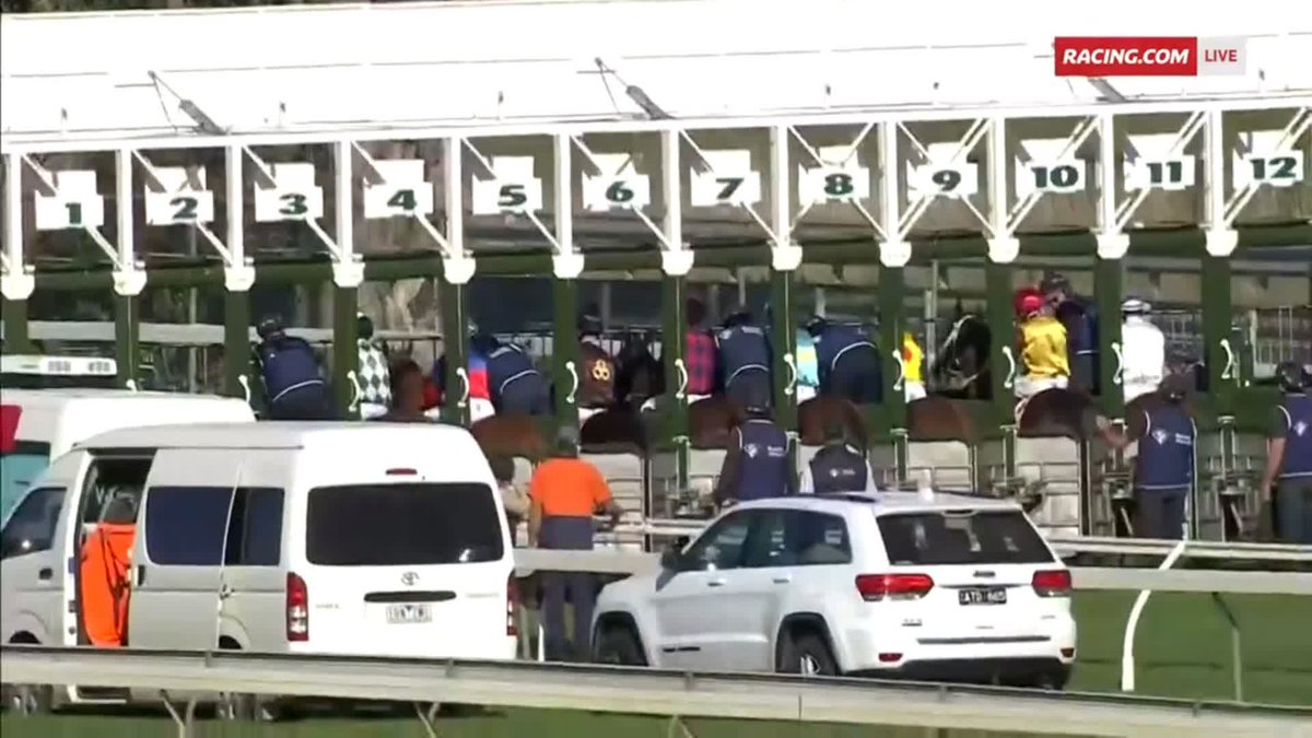 Racing.com on Twitter: "Catch up on R3 & R4 from Sale a little earlier today 🍿 @dean_binaisse ...