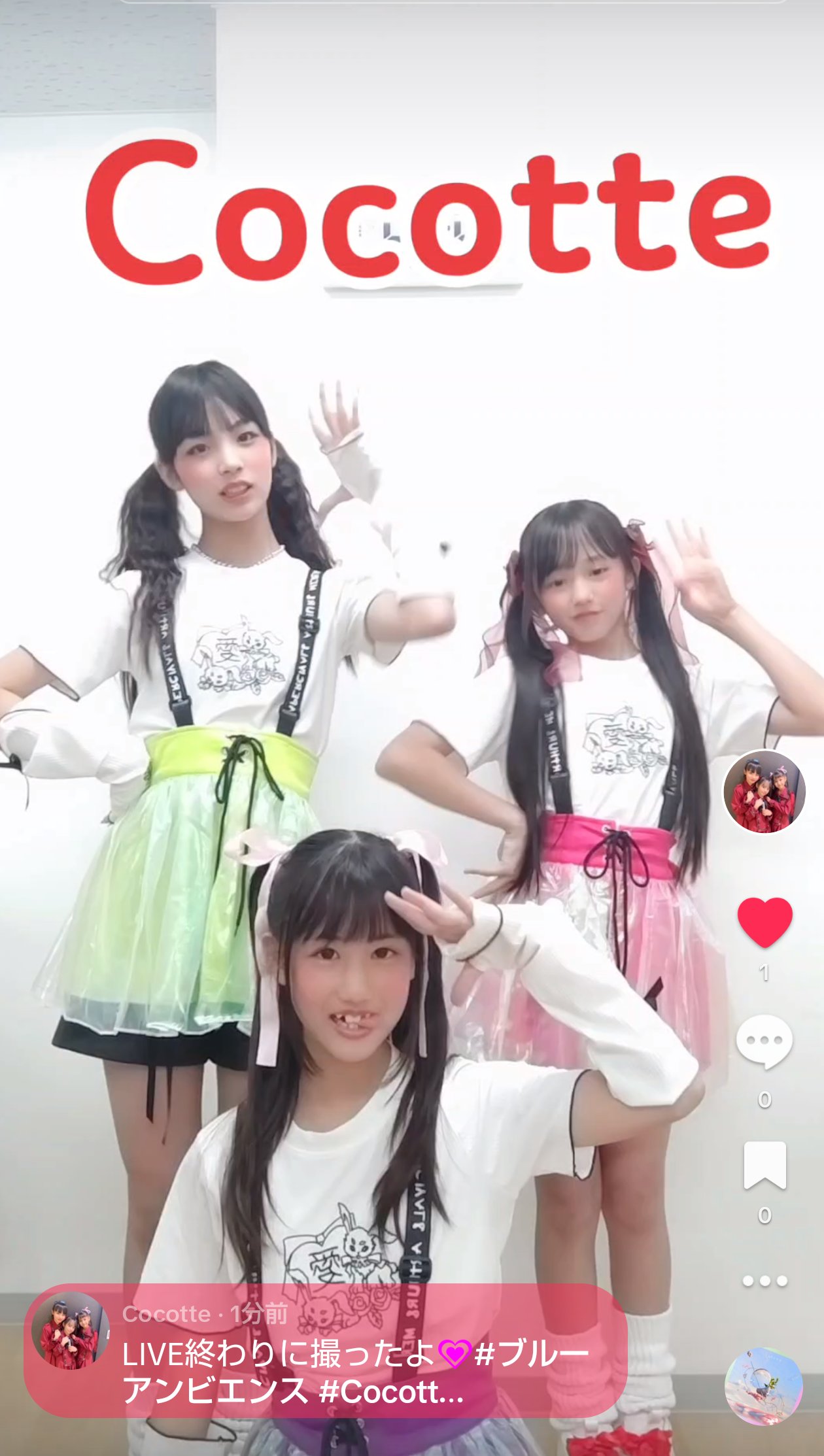 Cocotte on Twitter: "Cocotte ️TikTok 更新 ️ LIVE終わりに撮りました🎵 ぜひみてください Cocotte TikTok https://t.co ...