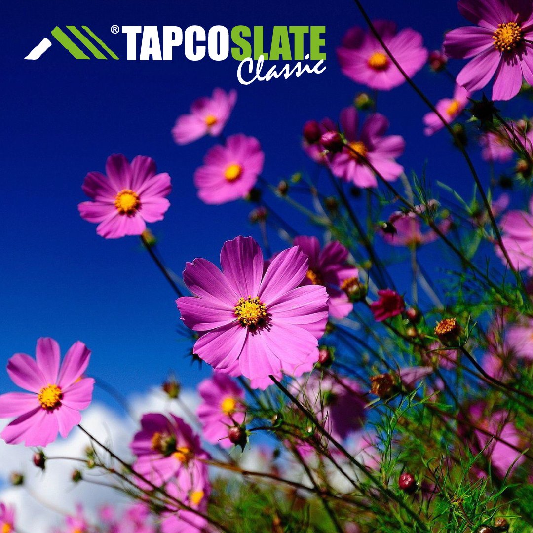 DaVinci Select Shake Accessories | Tapco Roofing Products