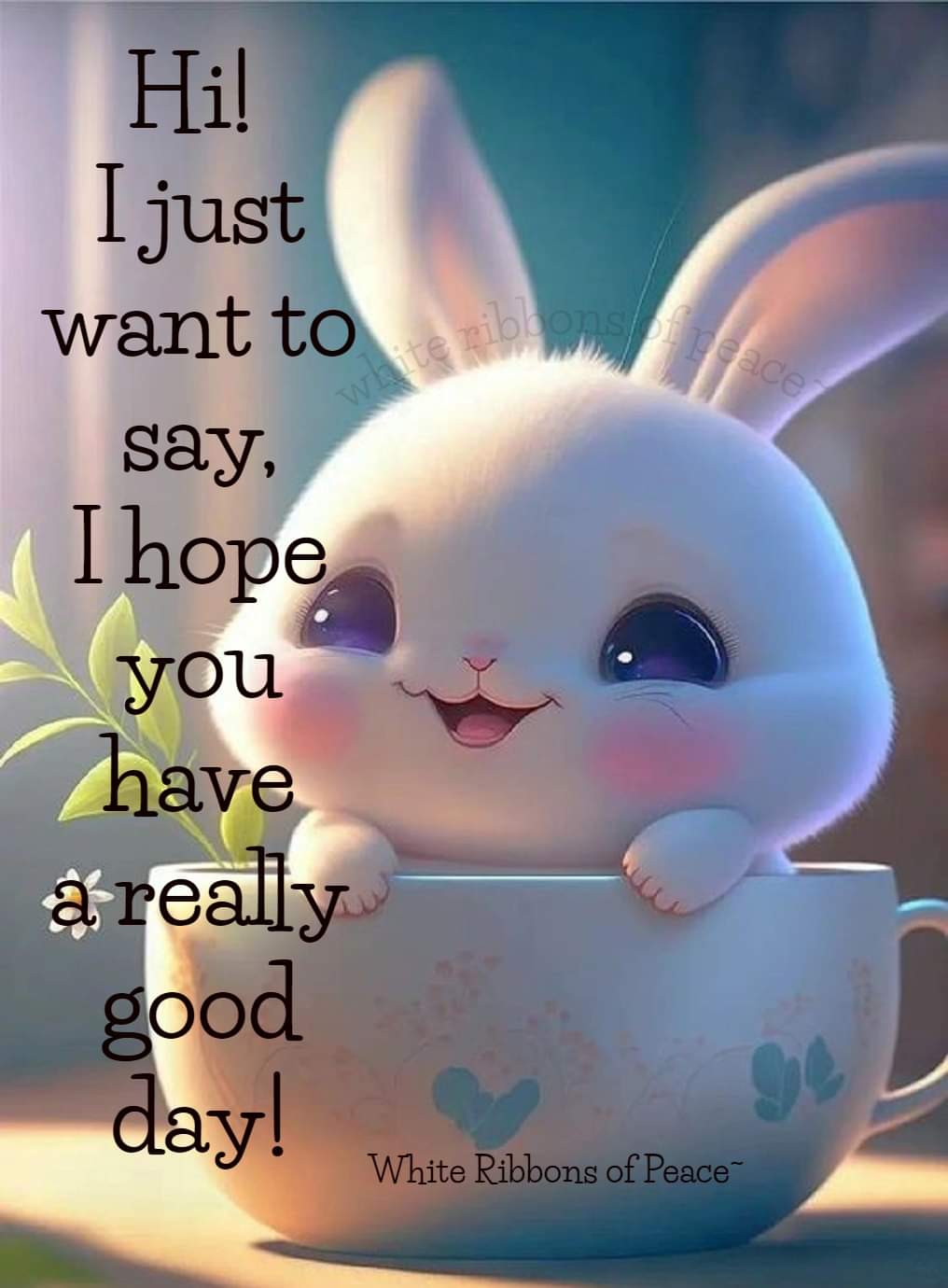 Wednesday Really Cute