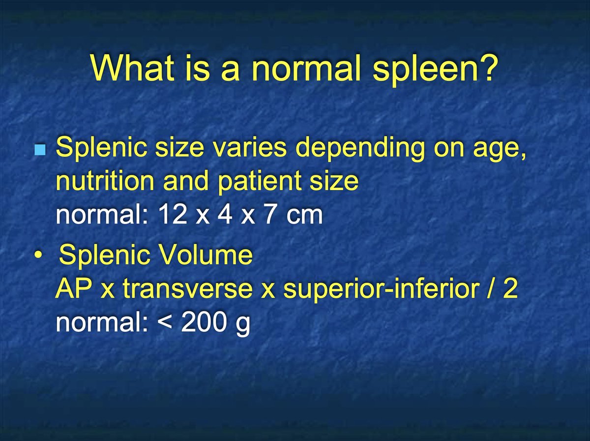 Spleen Normal Size