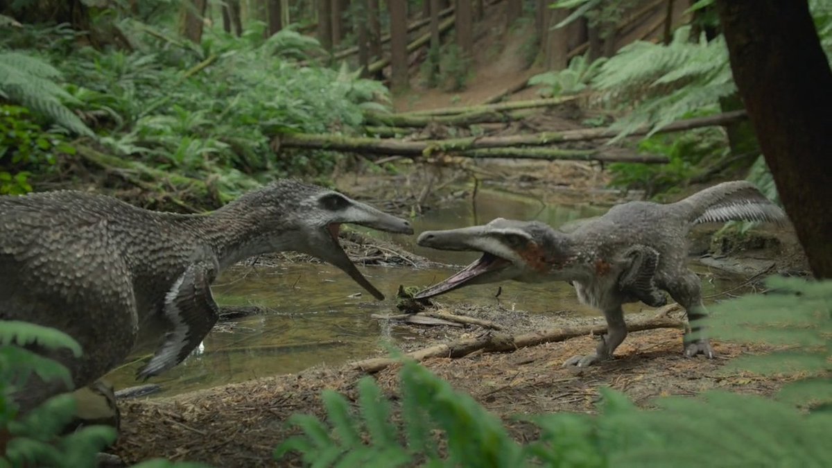 Dr. Werewolf 🌑🌒🌓🌔🌕 on Twitter: "RT @dinoesculturas: My own versions of #Austroraptor through the ...