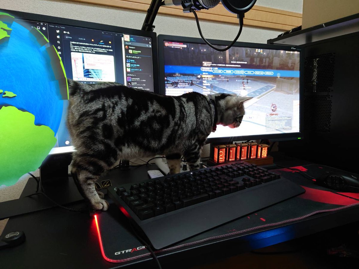 ℝ𝕚𝕓@おにく♛ridill on Twitter: "ゲーミング猫になるみたい"