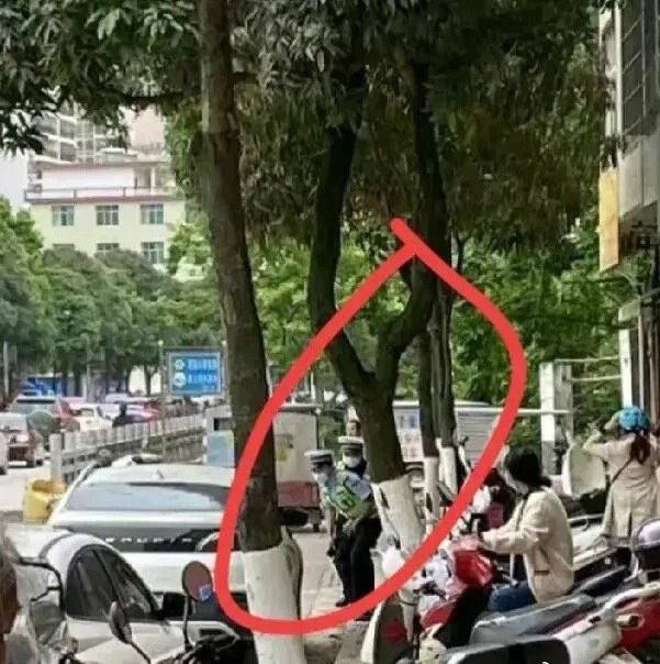 赵兰健[Zhao Lanjian] on Twitter: