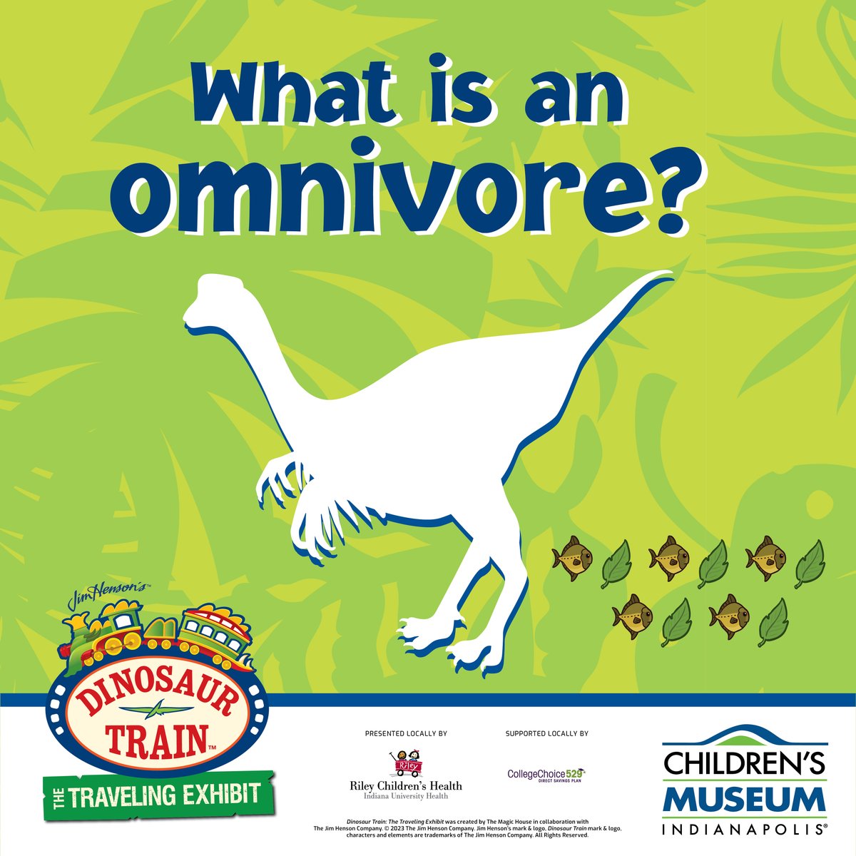 Chirostenotes Dinosaur Train