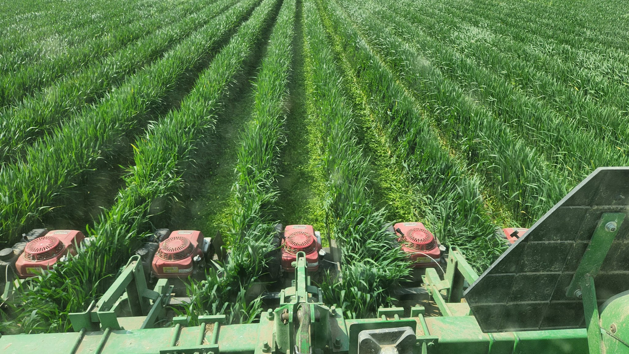 Joel Williams (@IntegratedSoils) / Twitter