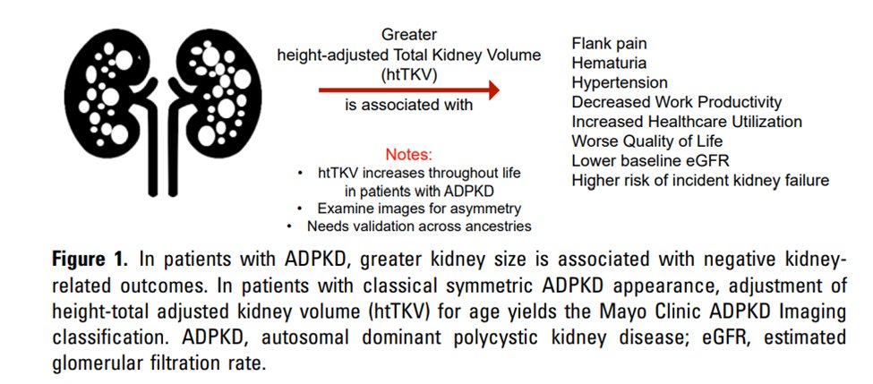 📢Tweetorial alert #NephTwitter Autosomal dominant polycystic kidney ...