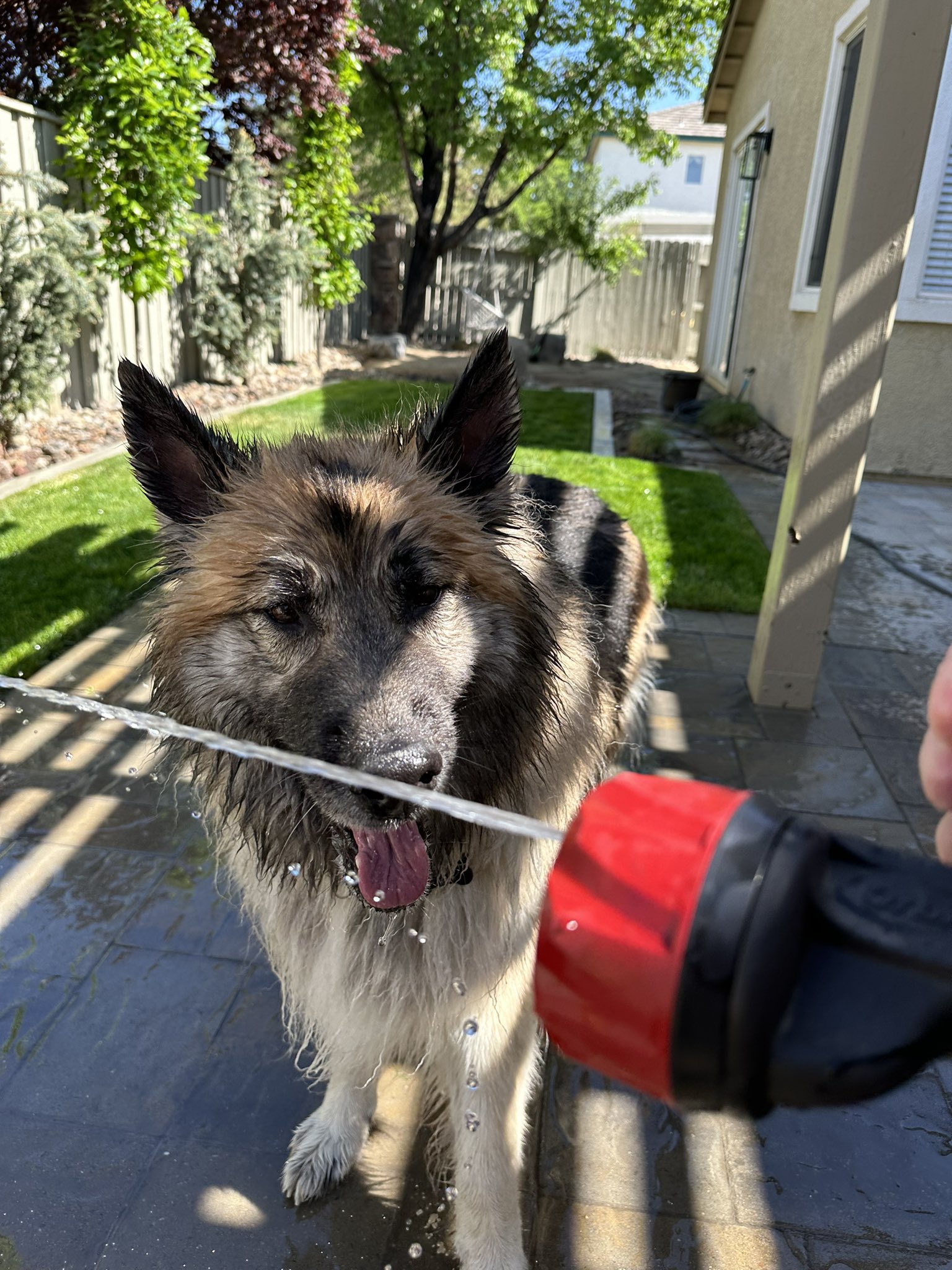 TW Pornstars - 1 pic. Kaylee. Twitter. 💦🦁😂. 5:45 PM - 24 May 2023