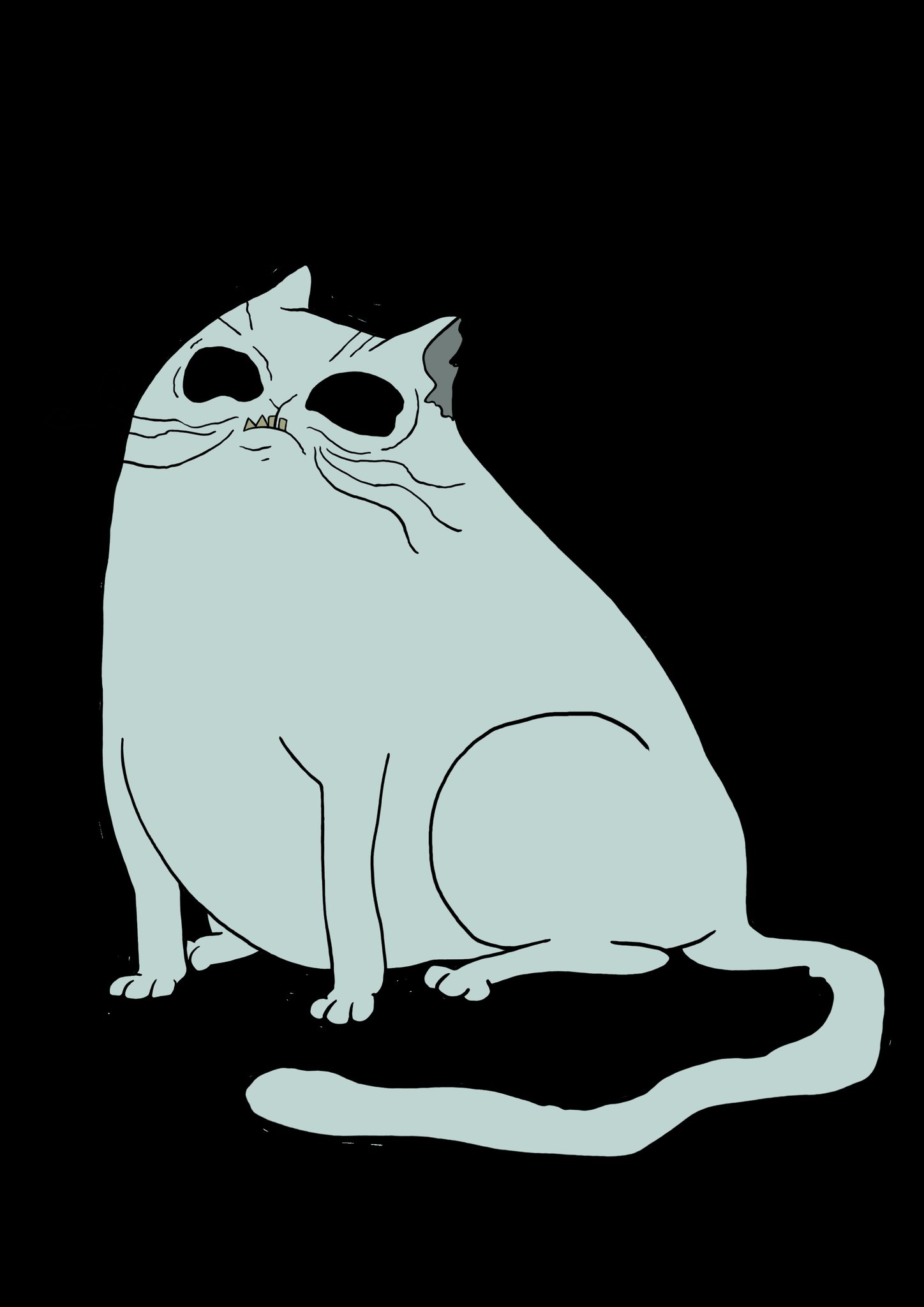 Misadventures Of Flapjack Cat