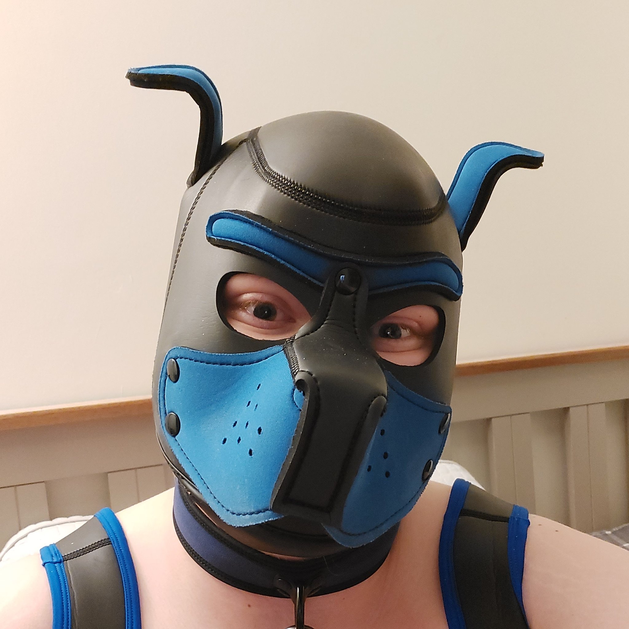 Omega_Pup_Fenris (@Fenris_OmegaPup) / Twitter
