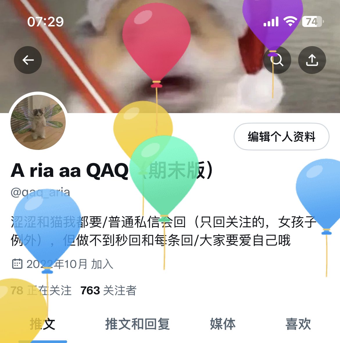 A ria aa QAQ（期末版） (@qaq_aria) / Twitter