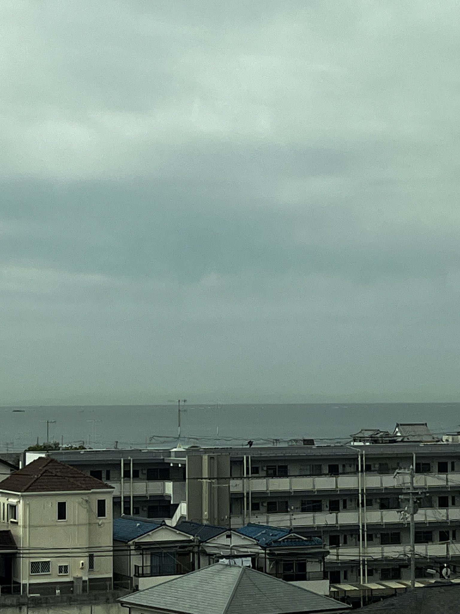 dam_ganjyu (@ganjyu2) / Twitter