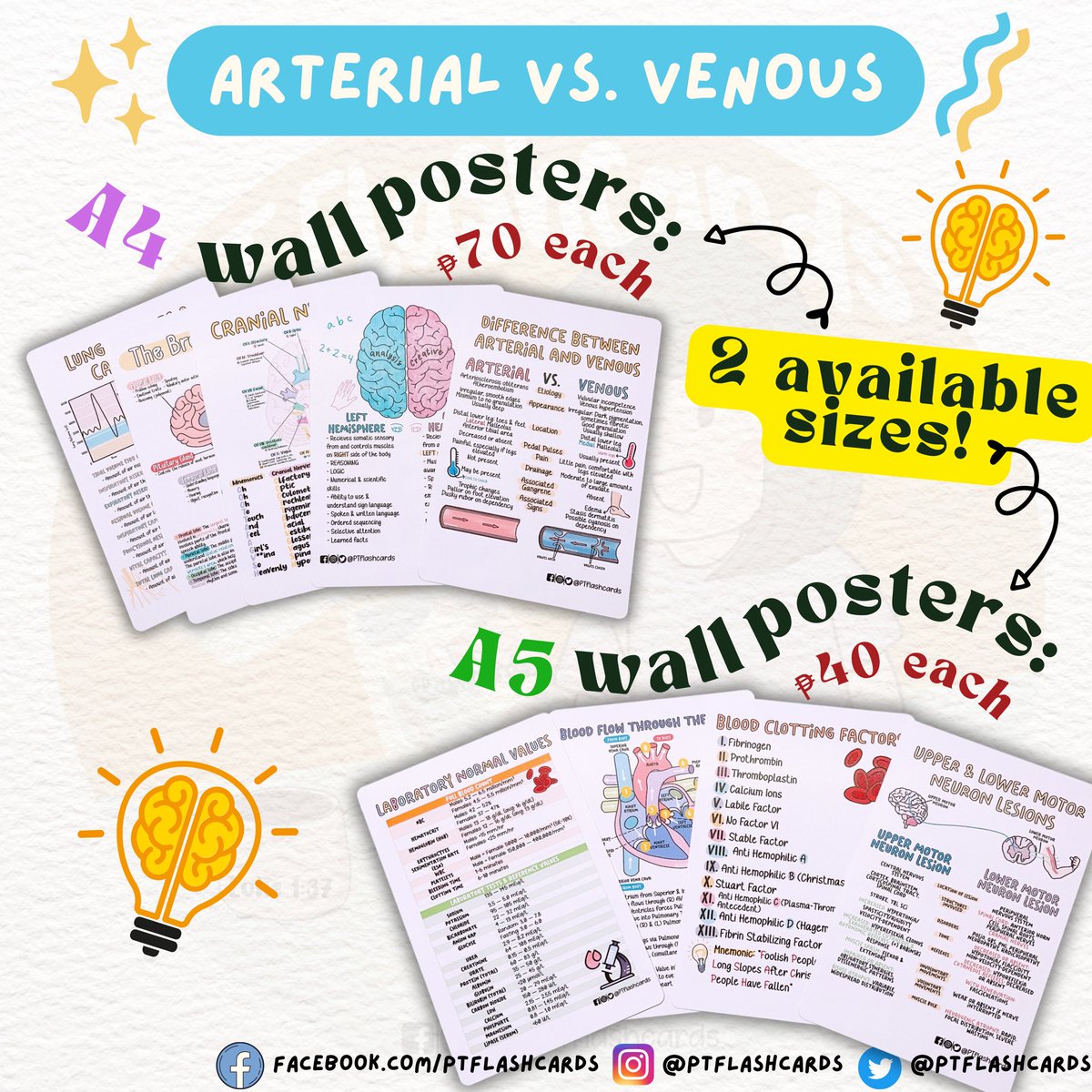 PT flashcards on Twitter: "RT @PTFlashcards: Arterial Vs. Venous ...