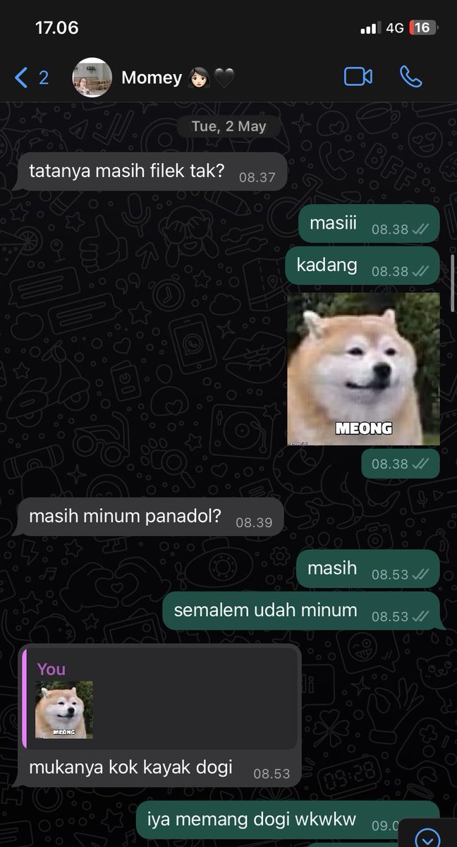 felo on Twitter: "repot dikit harus jelasin koleksi stiker jelekku"