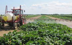 Butternut Production 101 FunFacts - Did you know Butternuts, Cucumbers ...