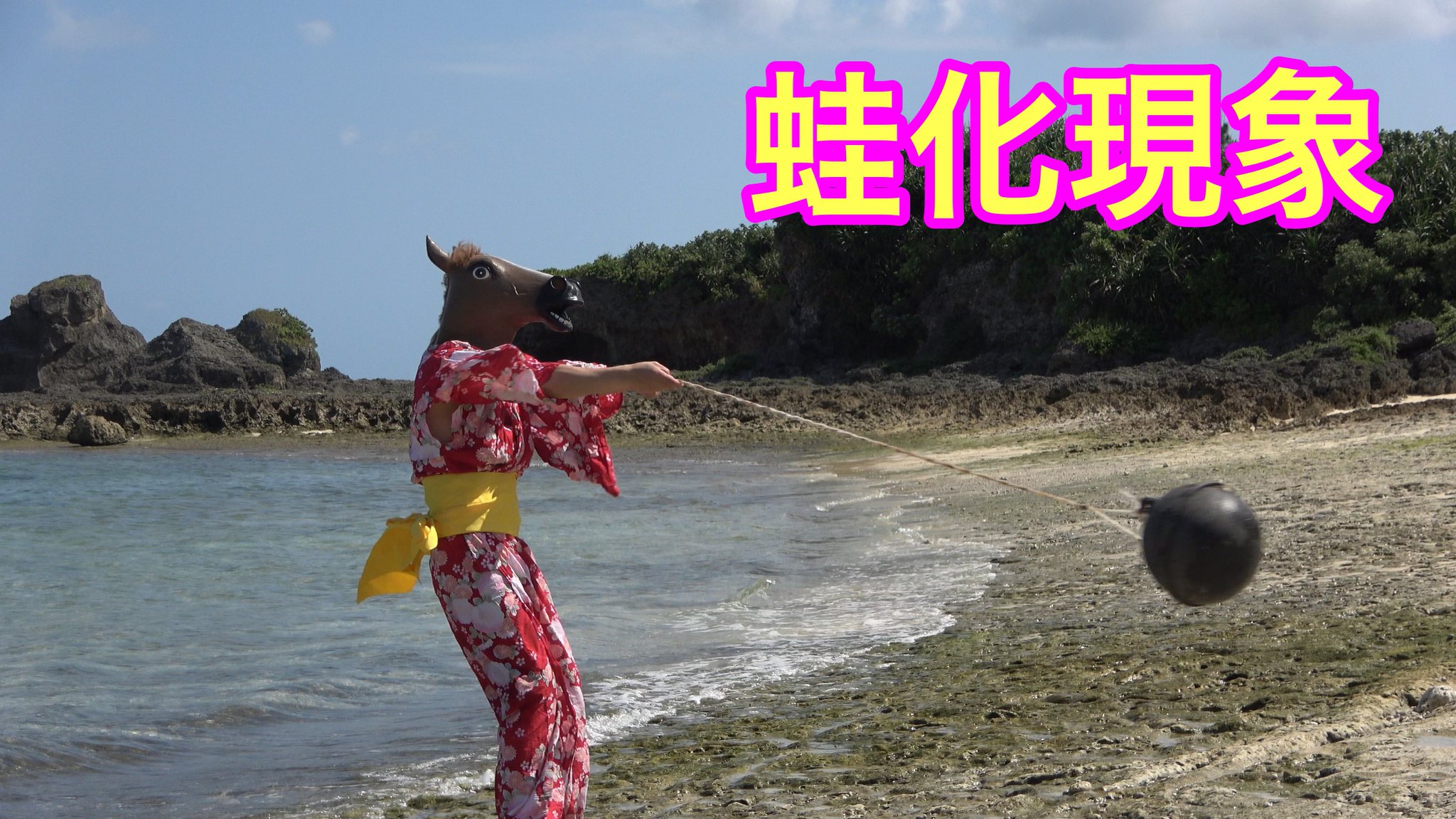 バウン・d On Twitter バウン・dは蛙化現象度0 【巨人】全く蛙化してない人。完全に進撃の巨人のキャラ。キャラとマッチしたら