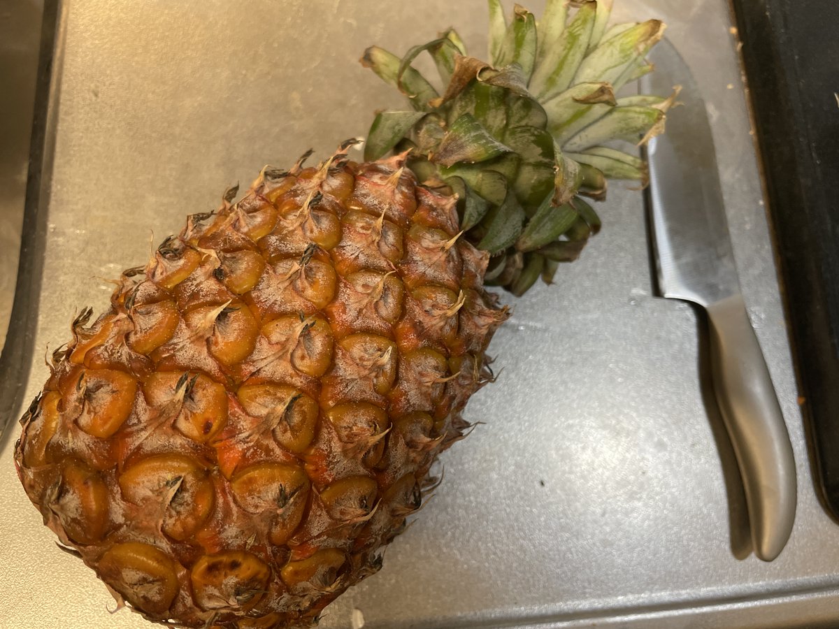 ぬまがさワタリ On Twitter パイナップル、うまくさばいておいしく完食できました。ウロコに気をつけてとか背びれに毒があるとかアドバイスしてくれた皆、ありがとう。アラ汁もつくるね